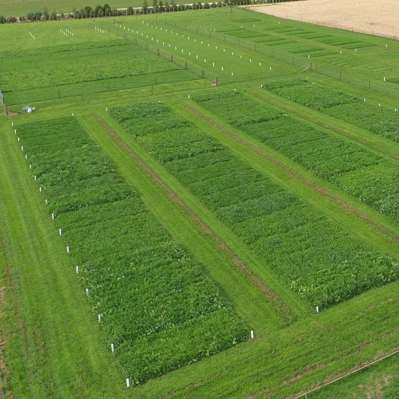 On-Farm Research - Calf Rearing, Pasture Growth and more